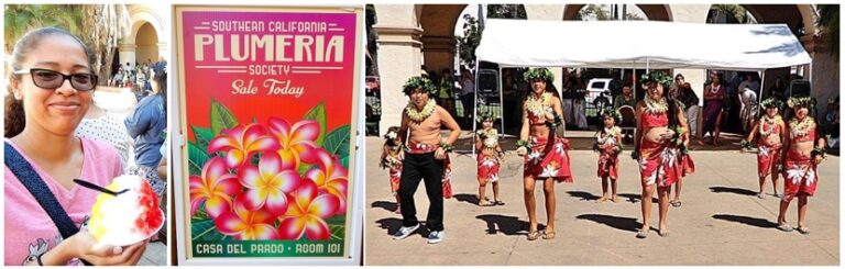 Plumeria Festival – Southern California Plumeria Society