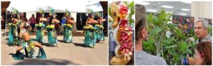 Plumeria Festival – Southern California Plumeria Society
