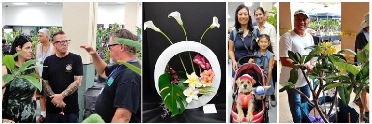 Plumeria Festival – Southern California Plumeria Society