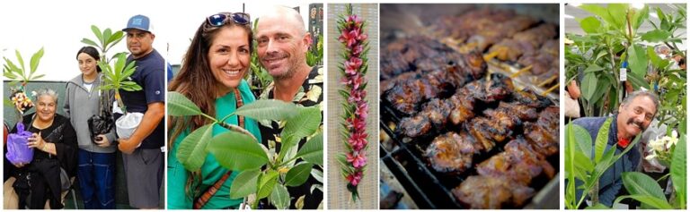 Plumeria Festival – Southern California Plumeria Society
